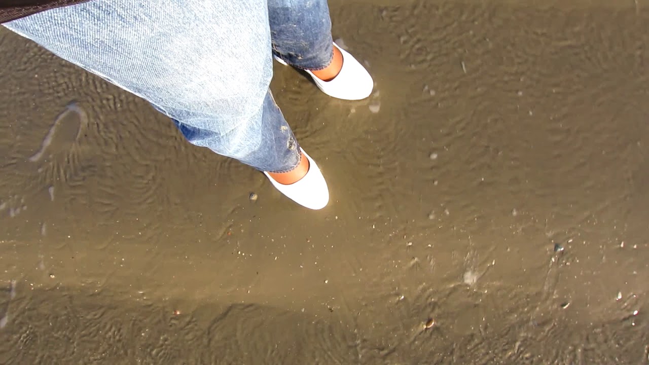 Medienverwaltung - Deutscheswetlookforum.de